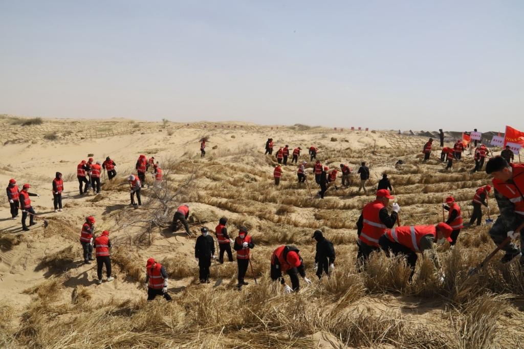 “土发明”为何能摘得国际金奖？——一位中国少年与几代治沙人的梦想-新华网